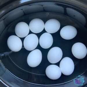 Lazy Slow Cooker Hard Boiled Eggs - The Lazy Slow Cooker